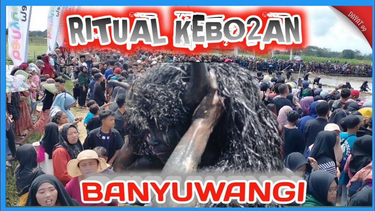 RITUAL KEBO-KEBOAN YANG HEBOH DI ALASMALANG 30 JULI 2023#ritualadat# ...