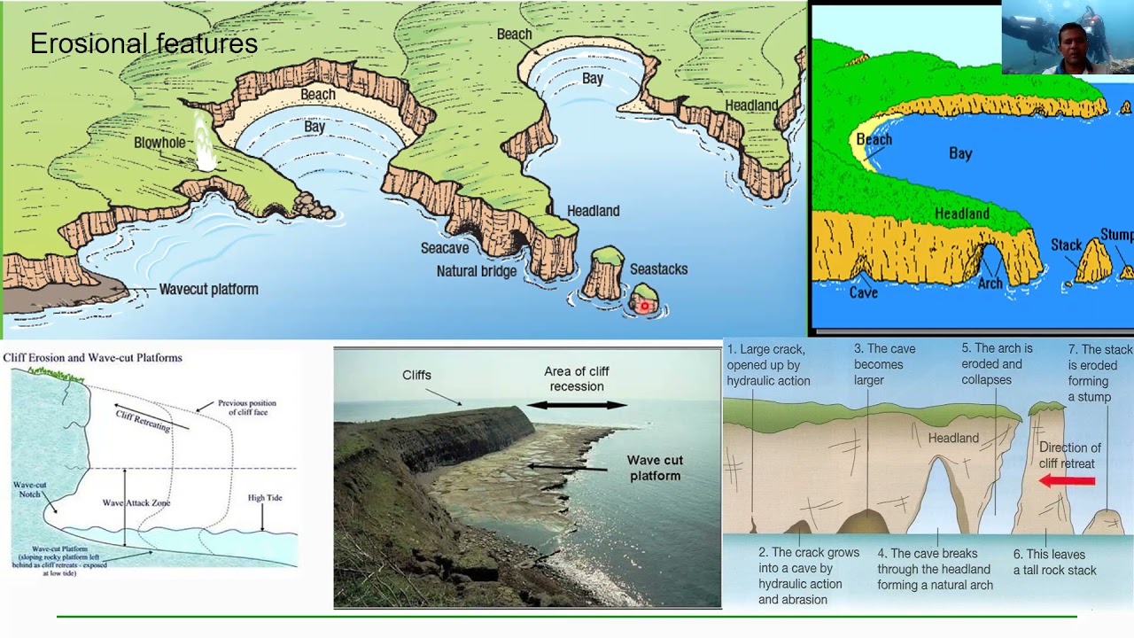 Marine ecology lecture 2: Introduction to marine realm - YouTube