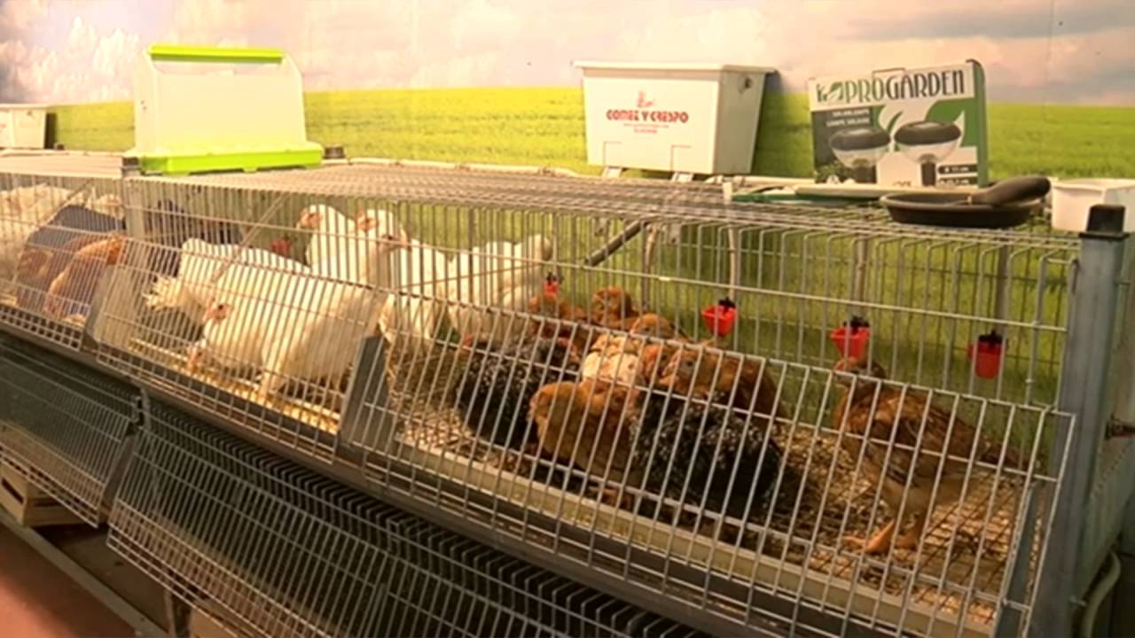 AGRILOJA - YouTube