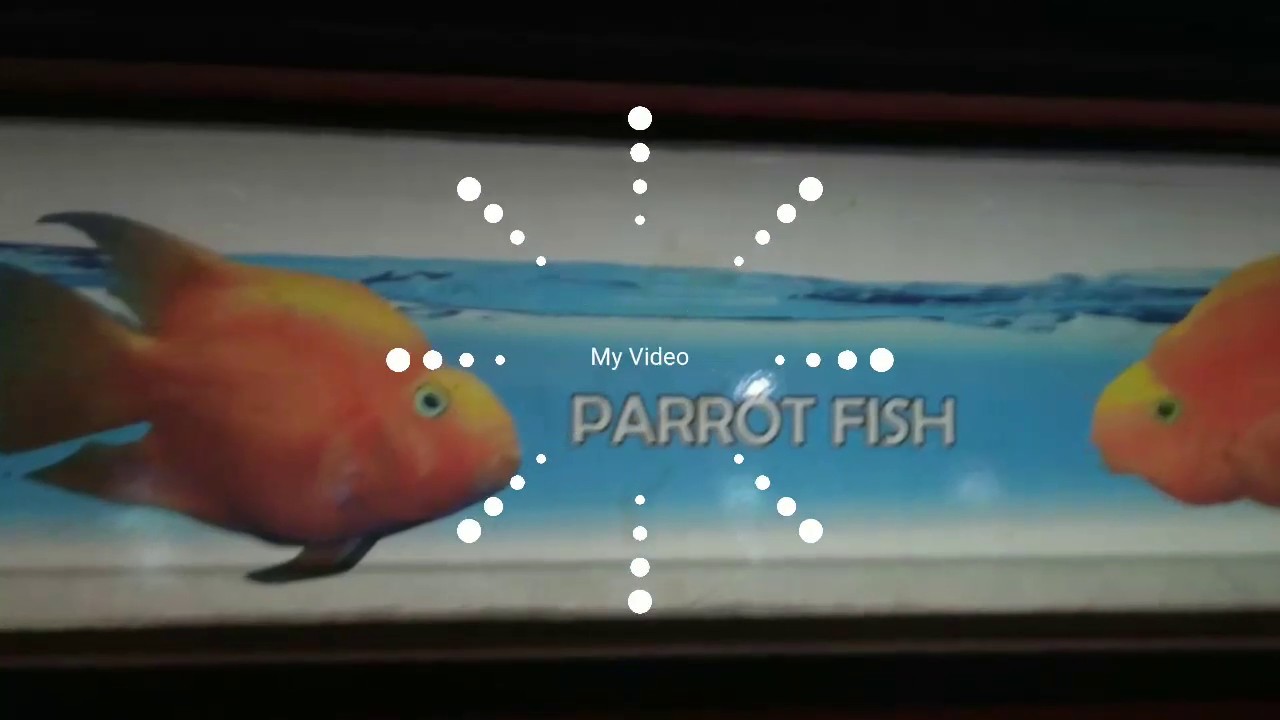 FISH AQUARIUM LUCKNOW ZOO PART-2 - YouTube