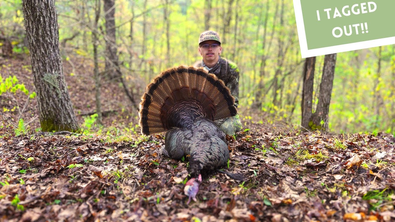 Tennessee turkey hunting! - YouTube