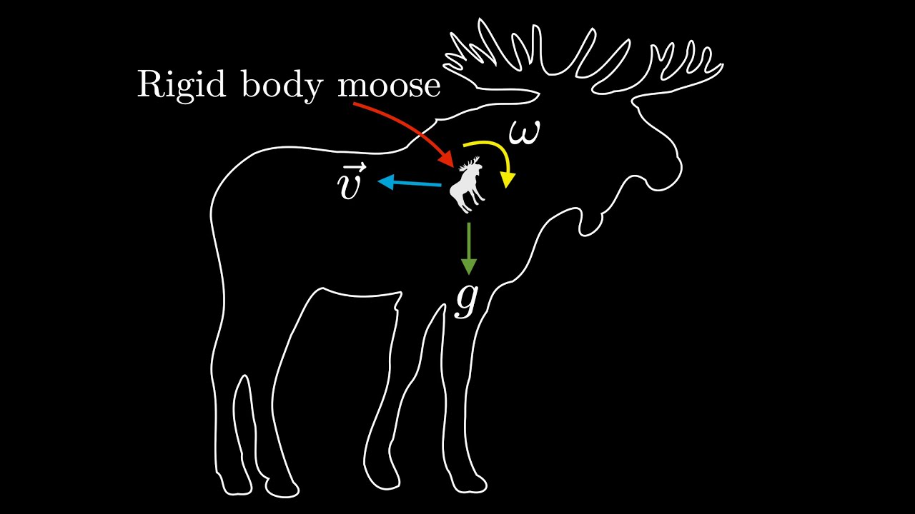 Rigid body moose dropped in a moose contour - YouTube