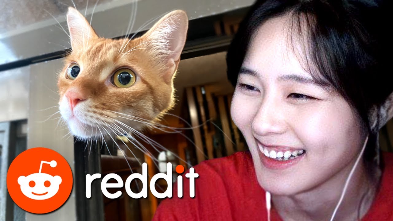 39daph Reacts to Reddit #38 - YouTube