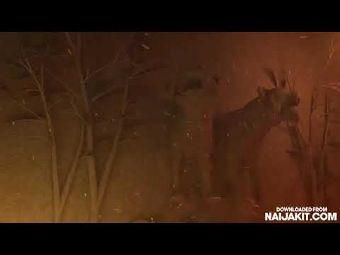 Naira Marley ft Busiswa - Coming (official video)