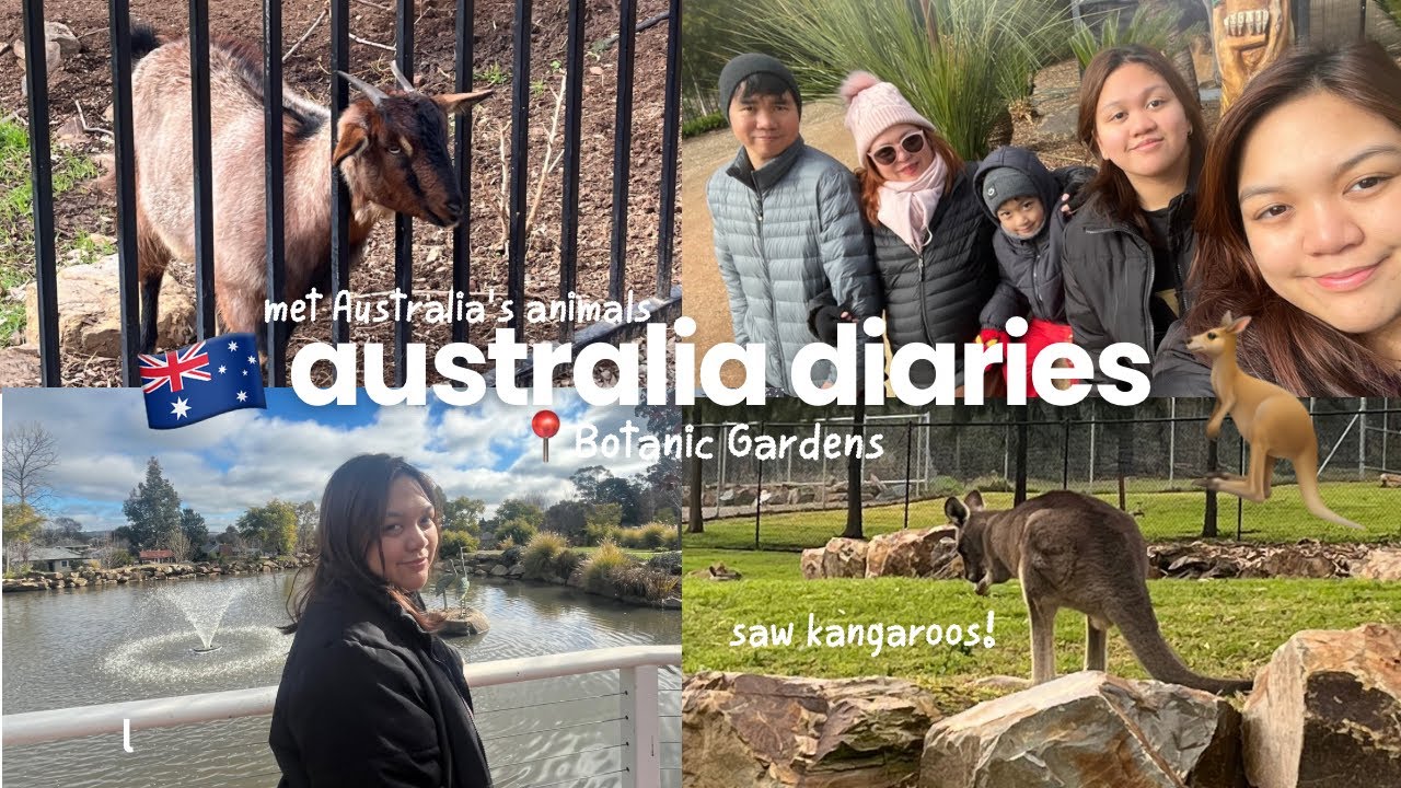 Australia Diaries | Get to Know Aussie Animals with Me! (wombat ...