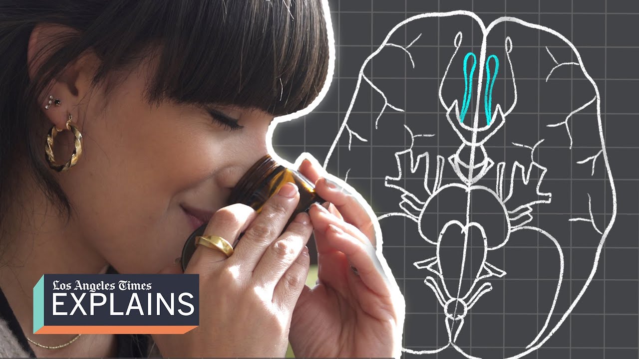 COVID-19 patients in 2021 utilized 'smell training' to recover their ...