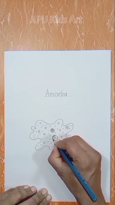 Science diagram for kids || How to draw an easy amoeba - YouTube