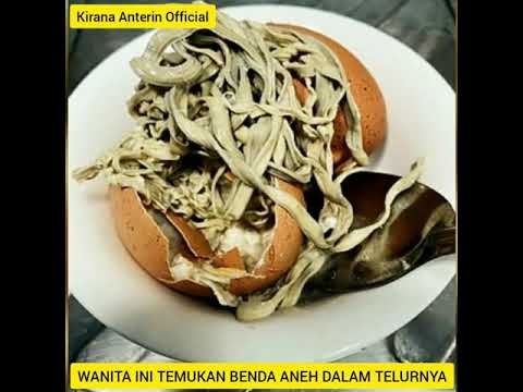 WANITA DI THAILAND TEMUKAN BENDA ANEH DALAM TELURNYA