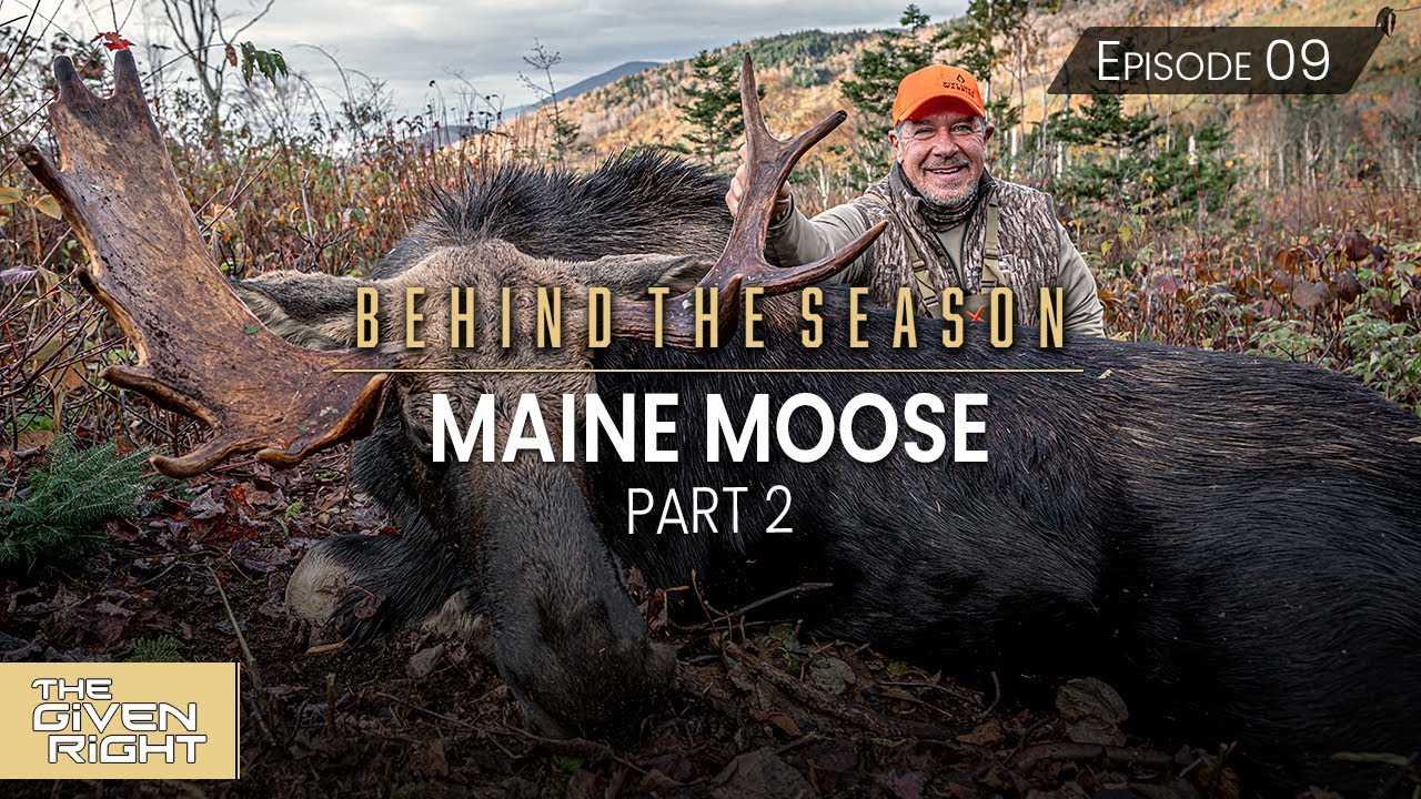 Moose Hunting in the Backcountry of Maine (4 Year Tradition) | Maine ...