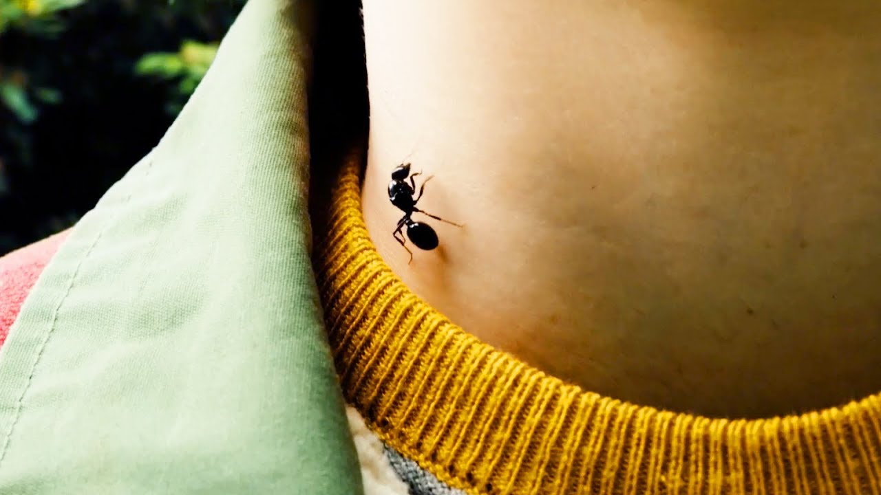 AJABU!! MTOTO APATA NGUVU ZA AJABU BAADA YA KUNG'ATWA NA SISIMIZI ...