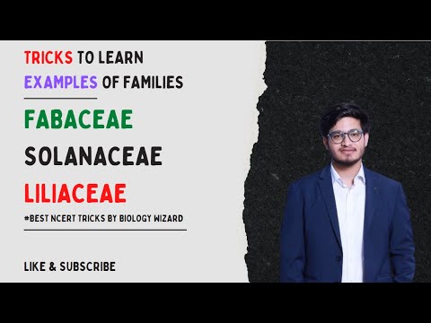 Tricks to Learn Examples of Families Fabaceae, Solanaceae & Liliaceae ...