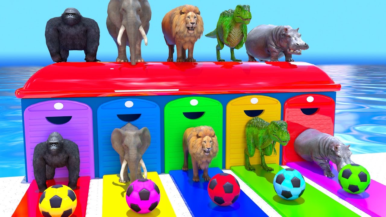 Long Slide Game With Cow Elephant Gorilla Hippopotamus Tiger - 3d ...