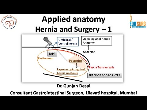 Mastering Hernia Surgery - 1: Applied anatomy for ventral hernia and ...