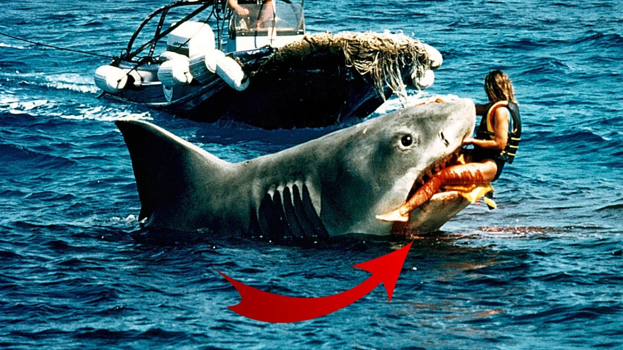 Top 10 Ataques de Tiburones más Brutales Captados en Cámara - YouTube