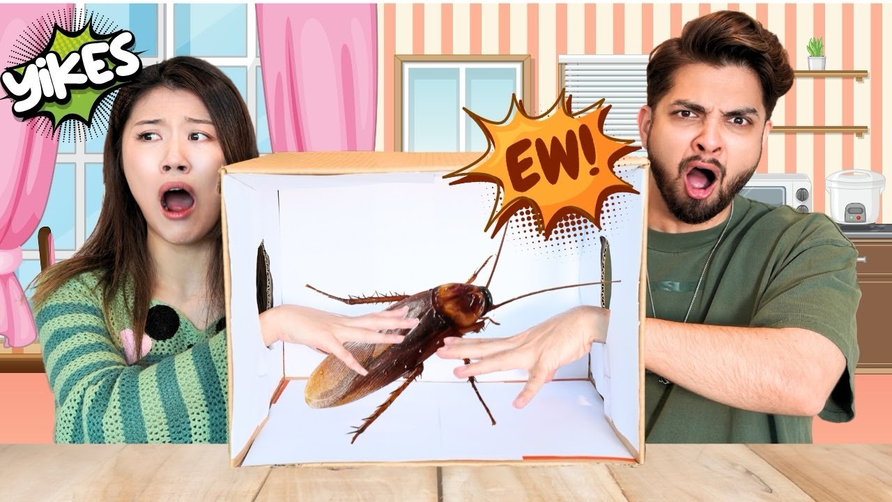 What's in the Box? *FUNNY* - YouTube