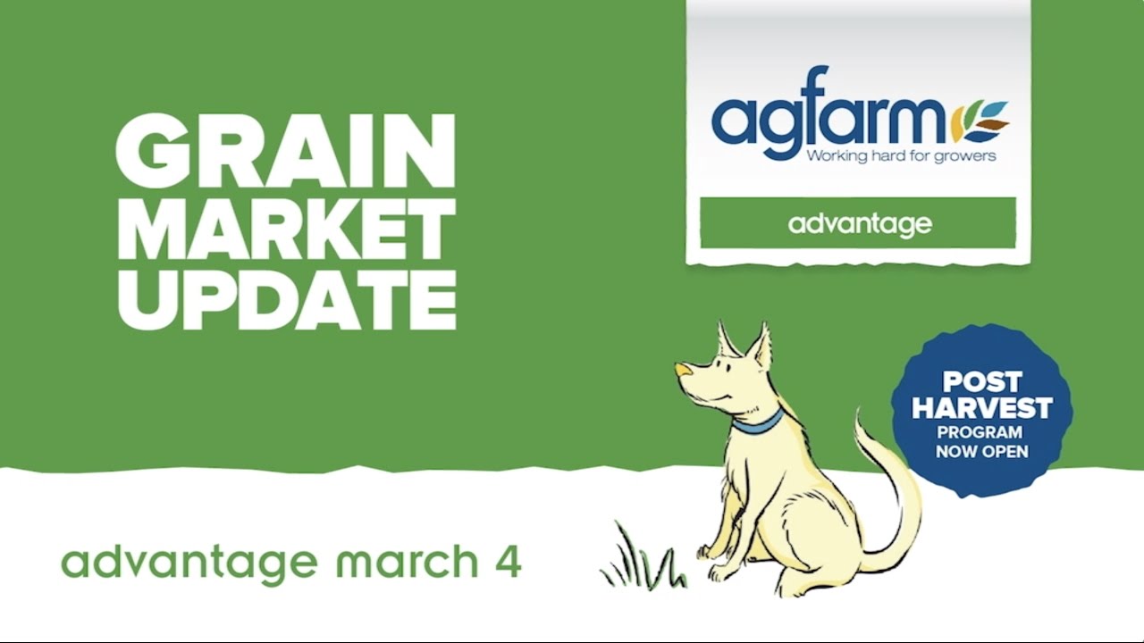 Agfarm Market Update 20170307 - YouTube