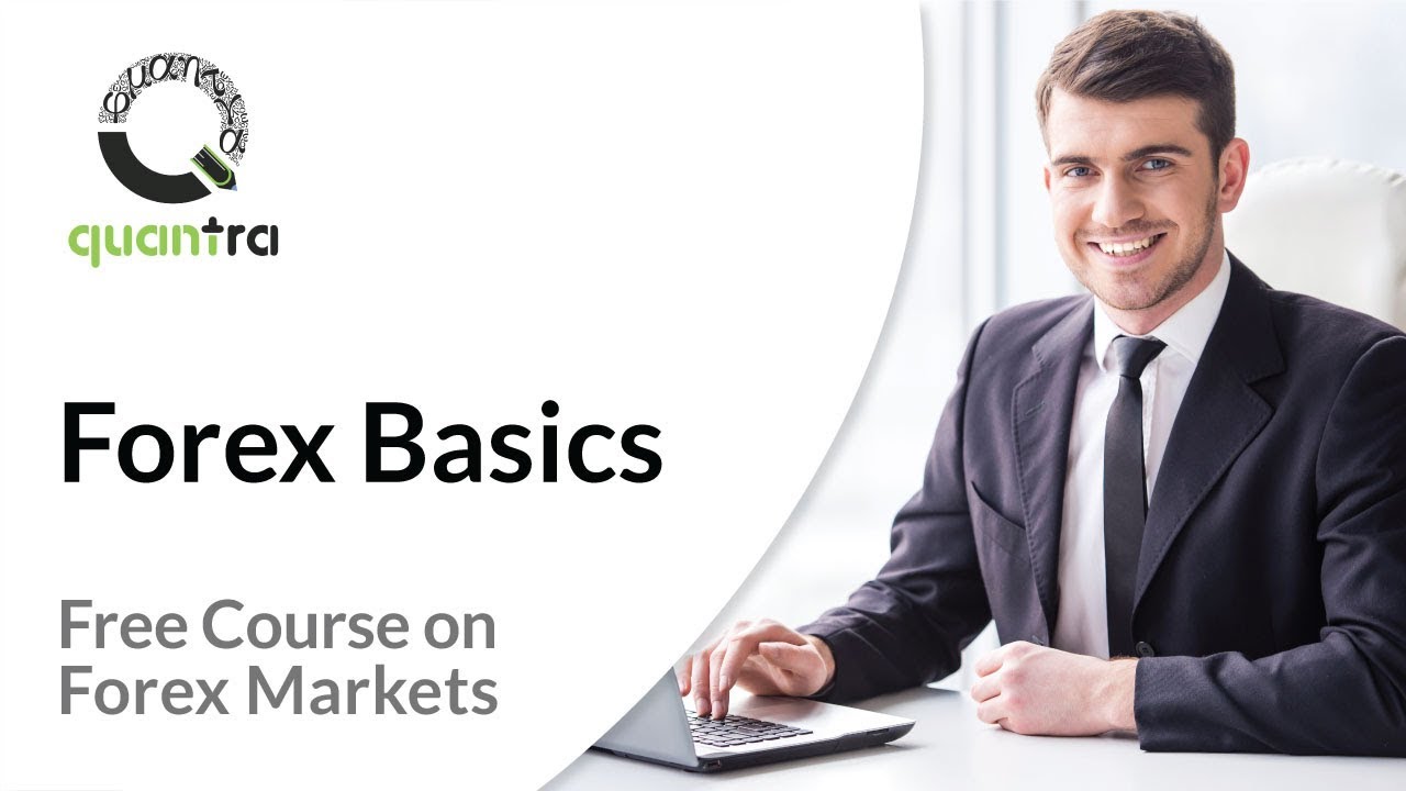 Forex Trading for Beginners | Free course in Forex Trading | Momentum ...
