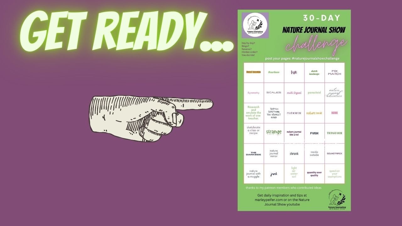 30 Day Nature Journal Challenge! Are you ready? - YouTube