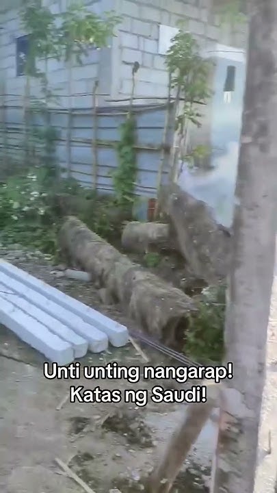 Katas ng Saudi. #shorts - YouTube