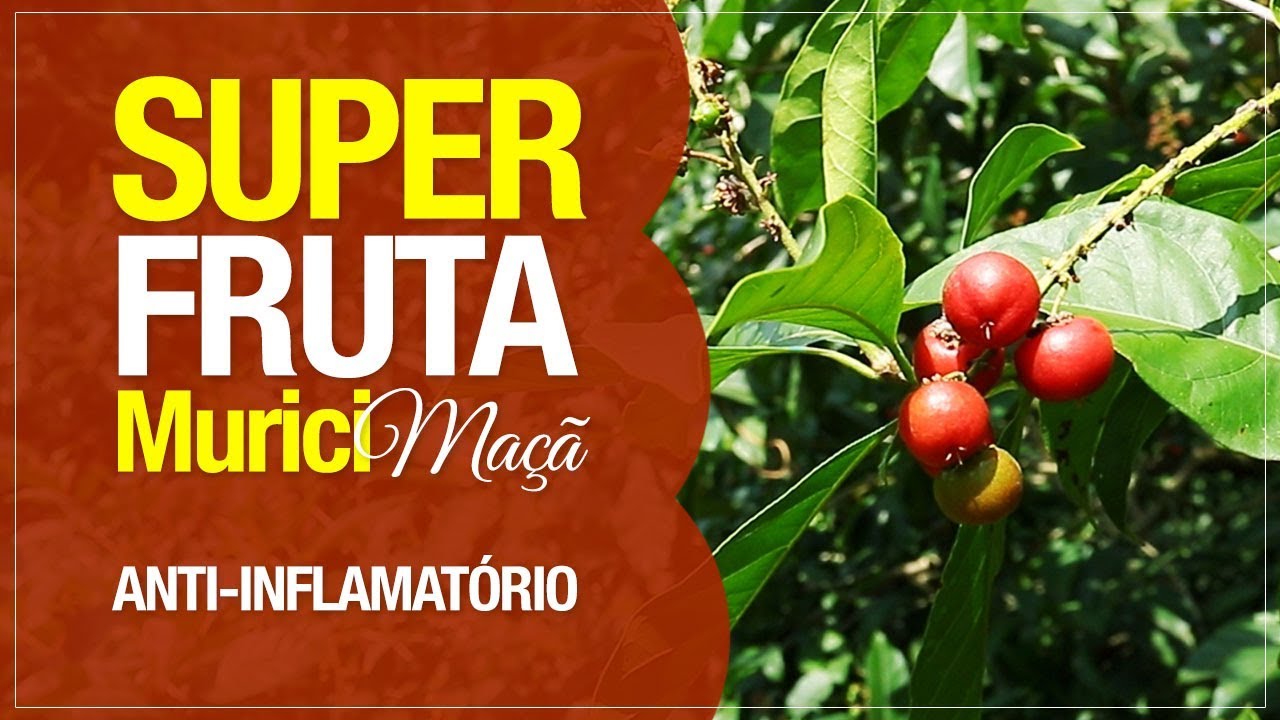 Super Fruta Murici Vermelho Maçã: Um remédio natural anti-inflamatório ...
