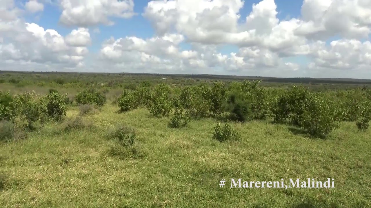 Marereni, Malindi land. - YouTube