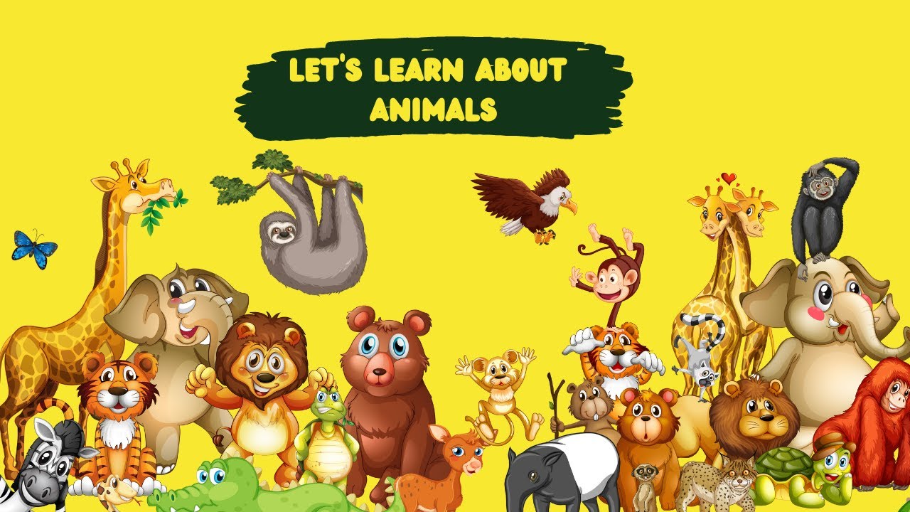 Learn Animals| Preschool| Toddler learning| - YouTube