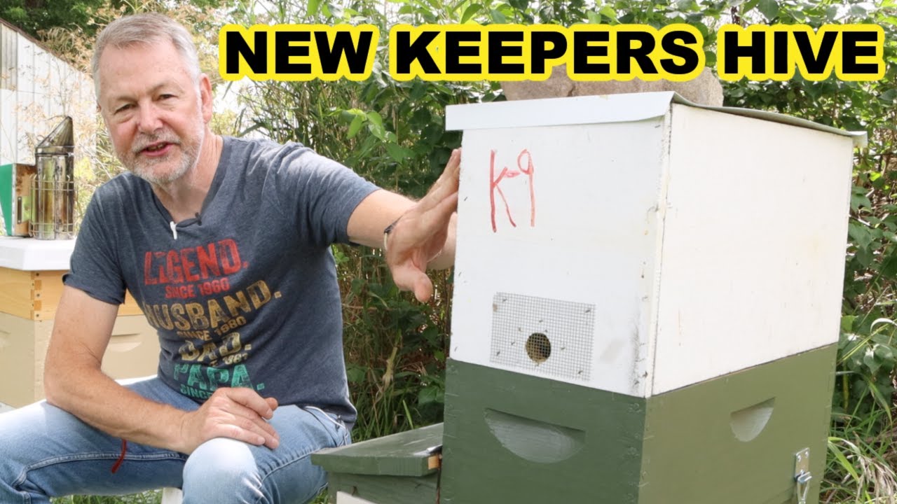 Beekeeping: Hive Inspection In The New Keepers Hive - YouTube