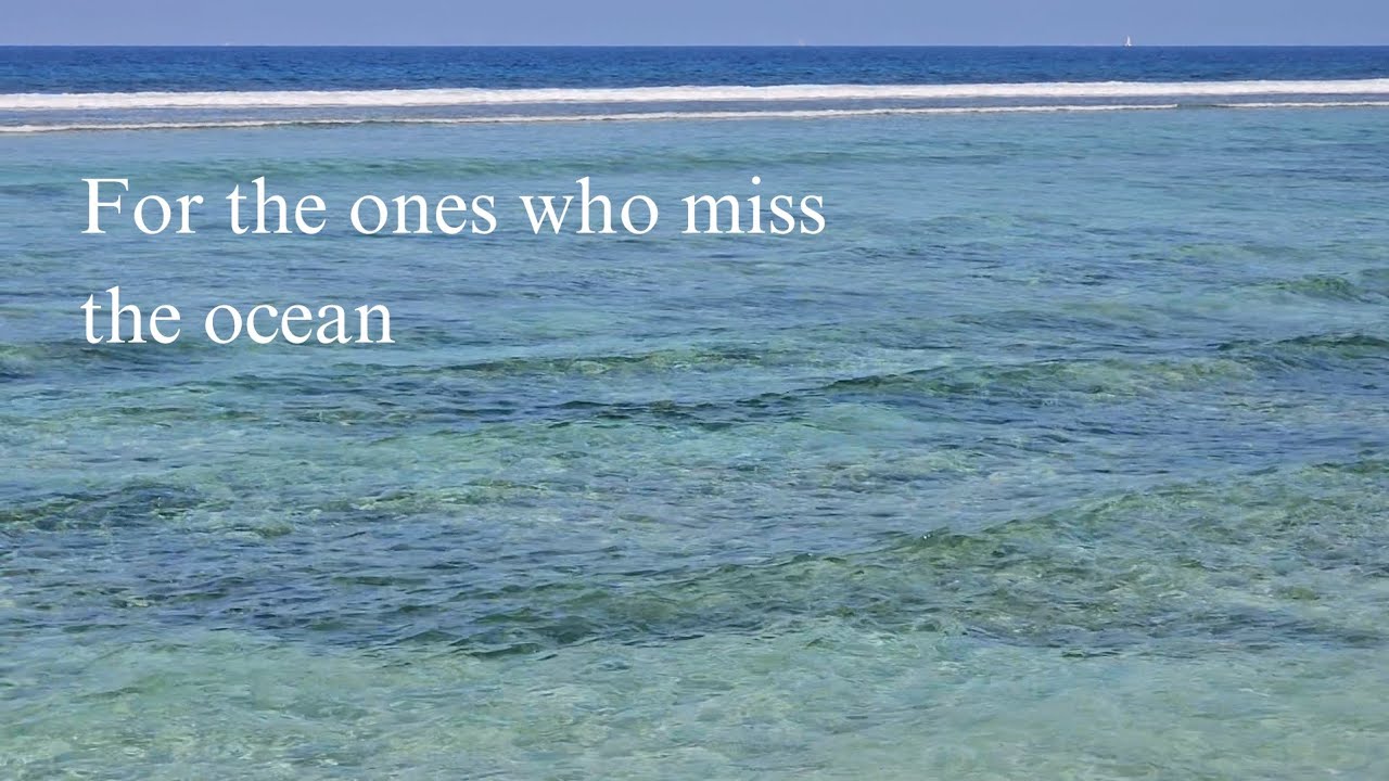 watch this if you miss the ocean - YouTube