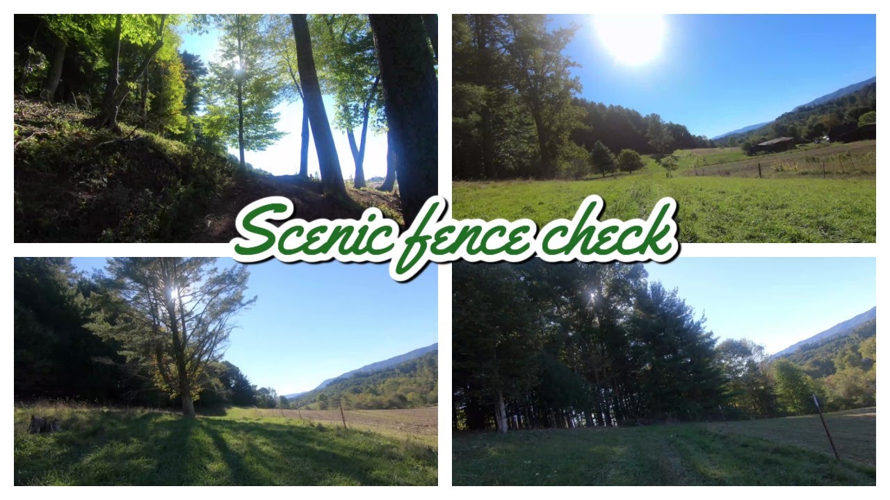 Checking perimeter fences - YouTube