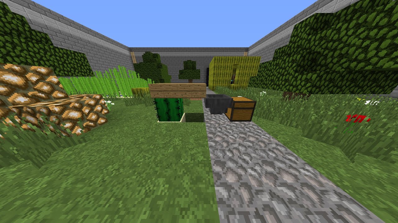 Cactus Dupe - YouTube