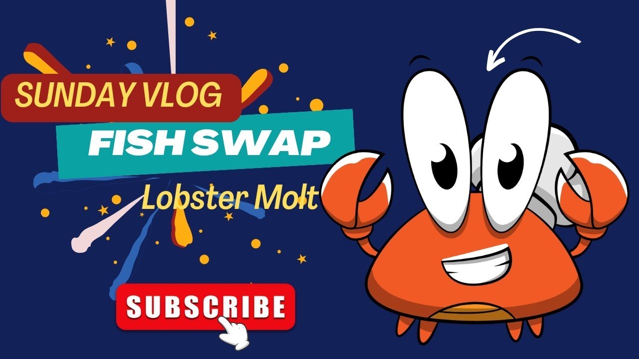 Sunday Vlog / Fish Swap - YouTube