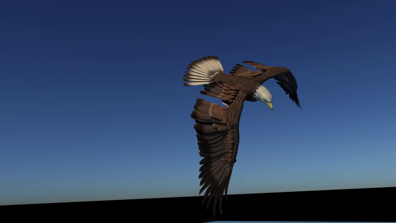 Eagle Test Animation - YouTube