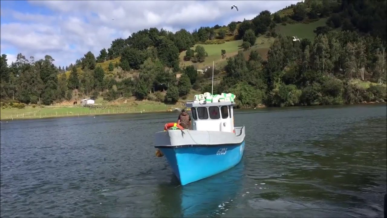 prototipo bote con motor interno mp4 - YouTube