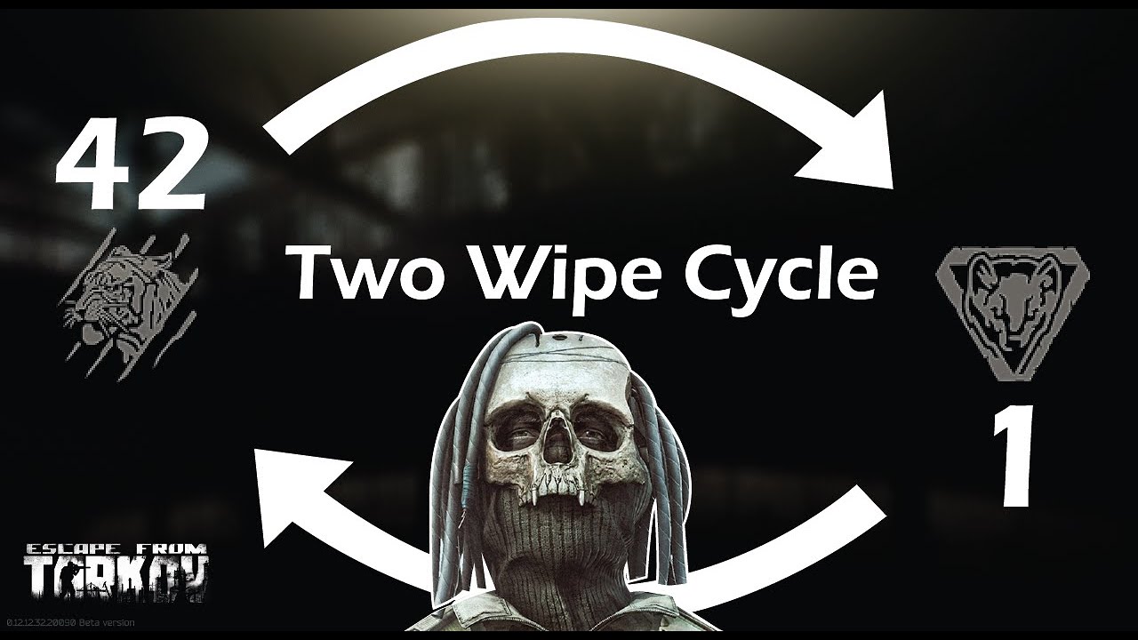 Tarkov's Two Wipe Cycle is Unfortunate - YouTube