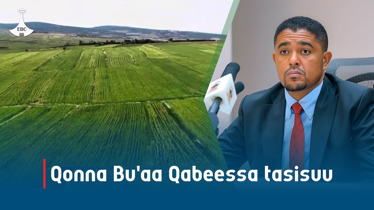 Qonna Bu'aa Qabeessa tasisuu etv |Ebc |Etv Afaan Oromoo| oduu Etv Afaan ...