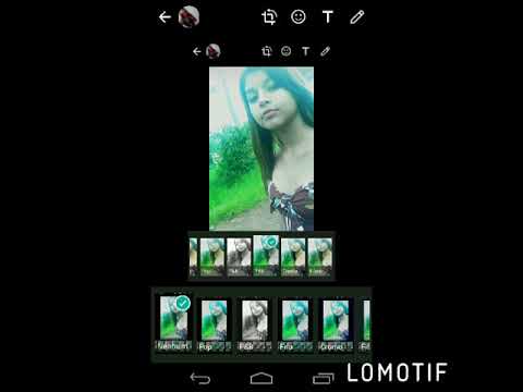 LOMOTIF