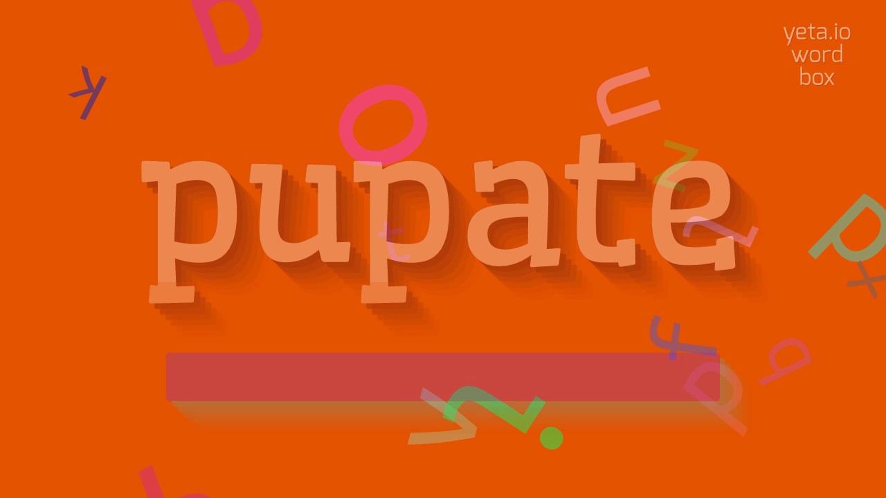 PUPATE - How to pronounce it? - YouTube
