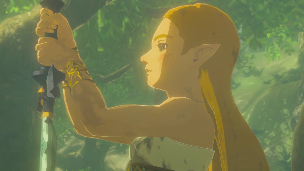 Pixel Effect: (Side Episode) Legend of Zelda BOTW *Pulling the Master ...