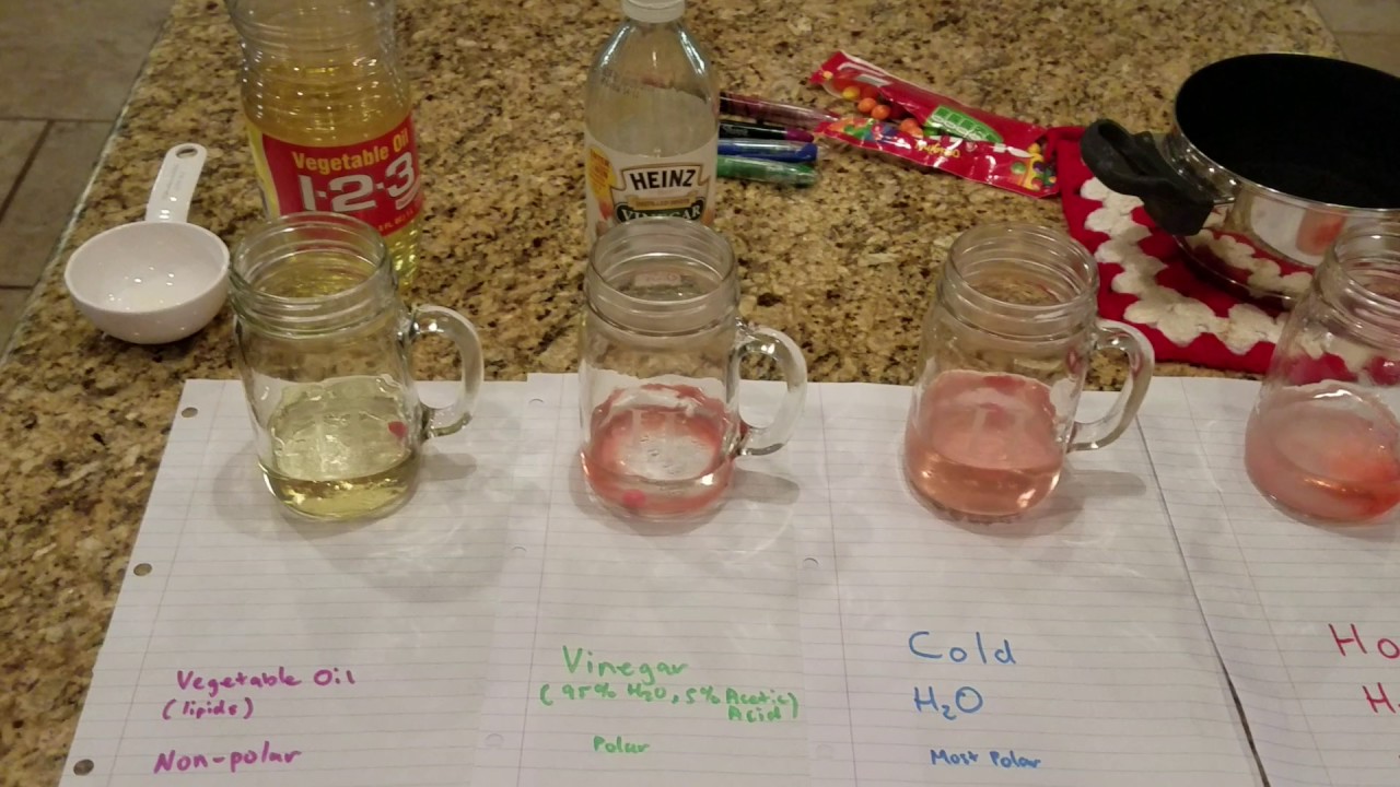 Skittles Polarity Experiment - YouTube