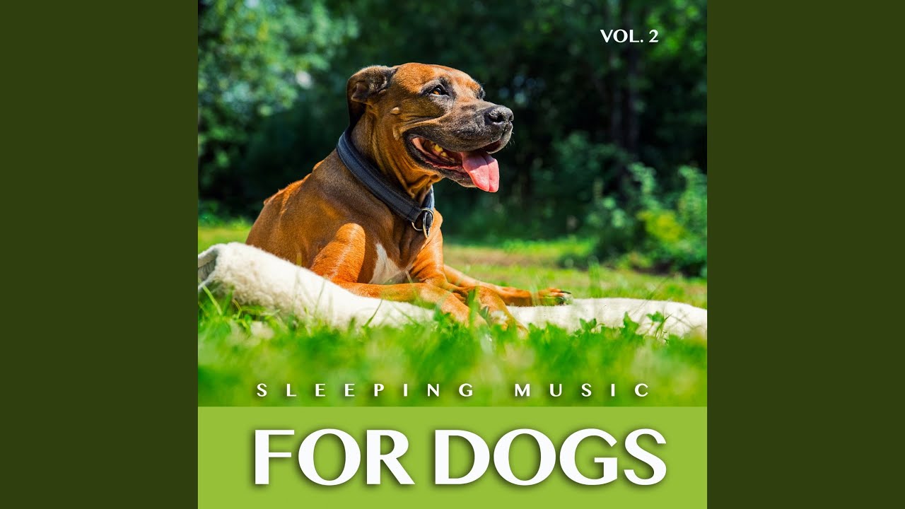 Music For Dogs YouTube music-for-dogs-youtube