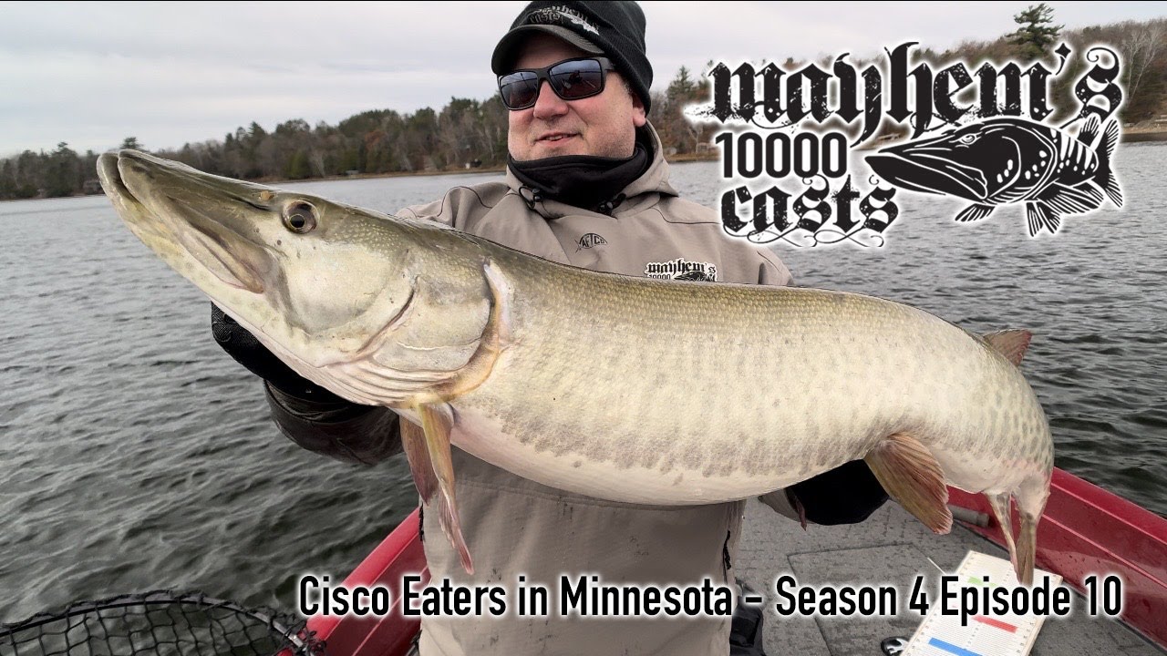 Season 4 Episode 10 - Cisco Eaters in Minnesota - YouTube