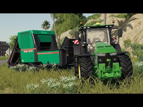 FORESTRY! Multiplayer Farming Simulator 19 - Part 1 - YouTube