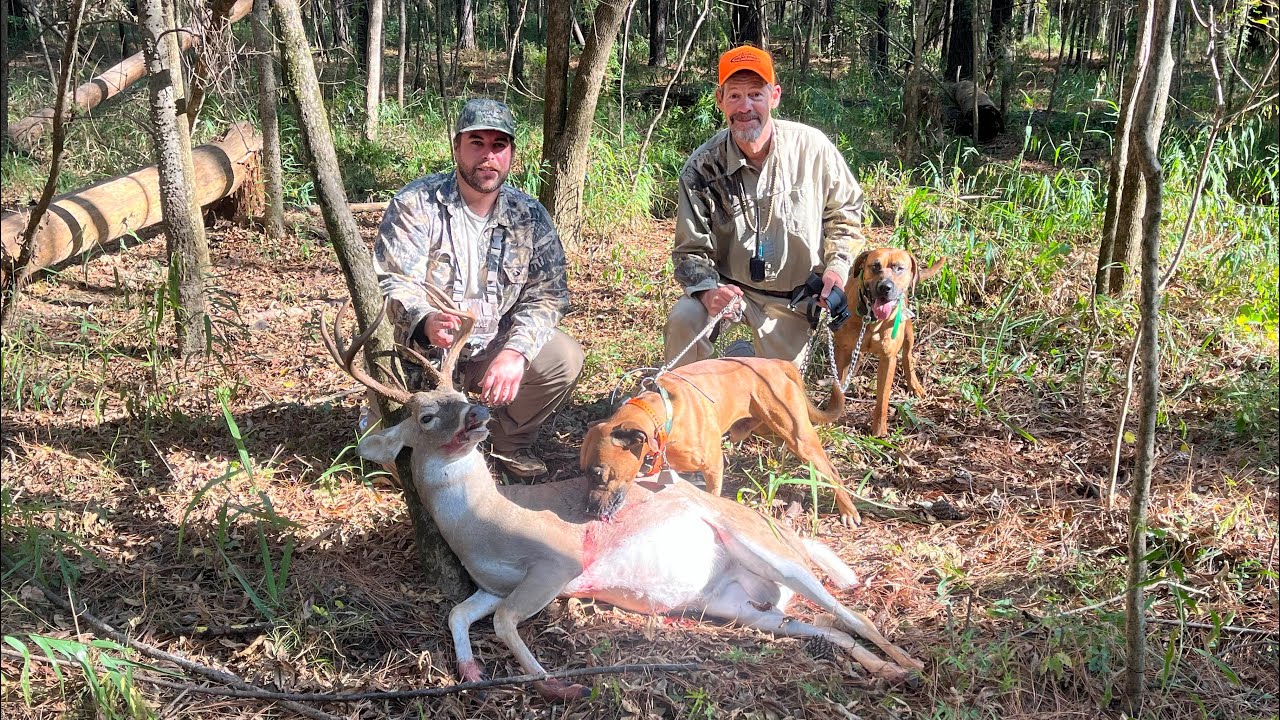 Alabama Deer Season Is Back! - YouTube