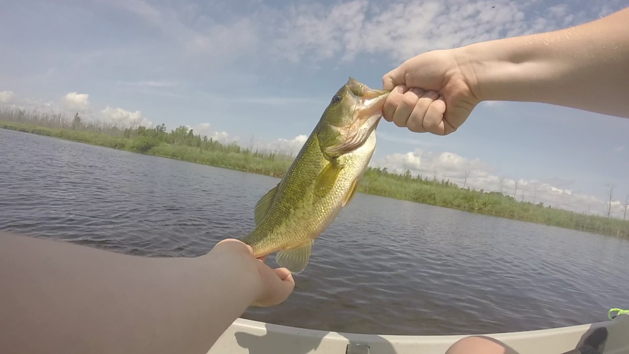 Summer bass fishing - YouTube