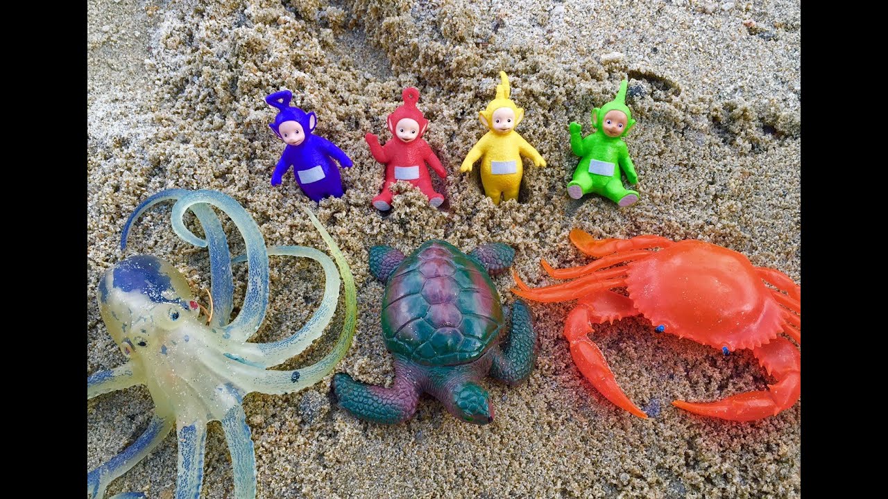 TELETUBBIES TOYS Dig for Sea Creatures at the Beach! - YouTube