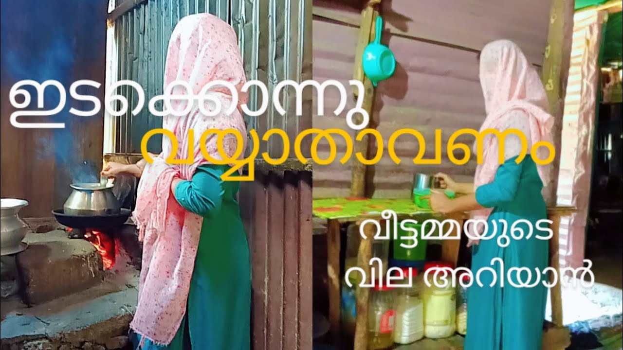 കൂലി ഇല്ലാത്ത ഒരേയൊരു ജോലി😇😞#nichoos vlog - YouTube