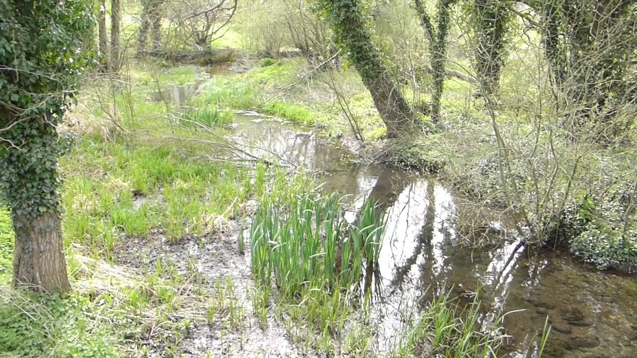 Brown Candover to Alresford - Wayfarers Walk - Weekend Walk 61 - YouTube