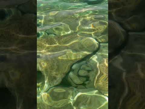 Yeşil sevenler için walpapper💚