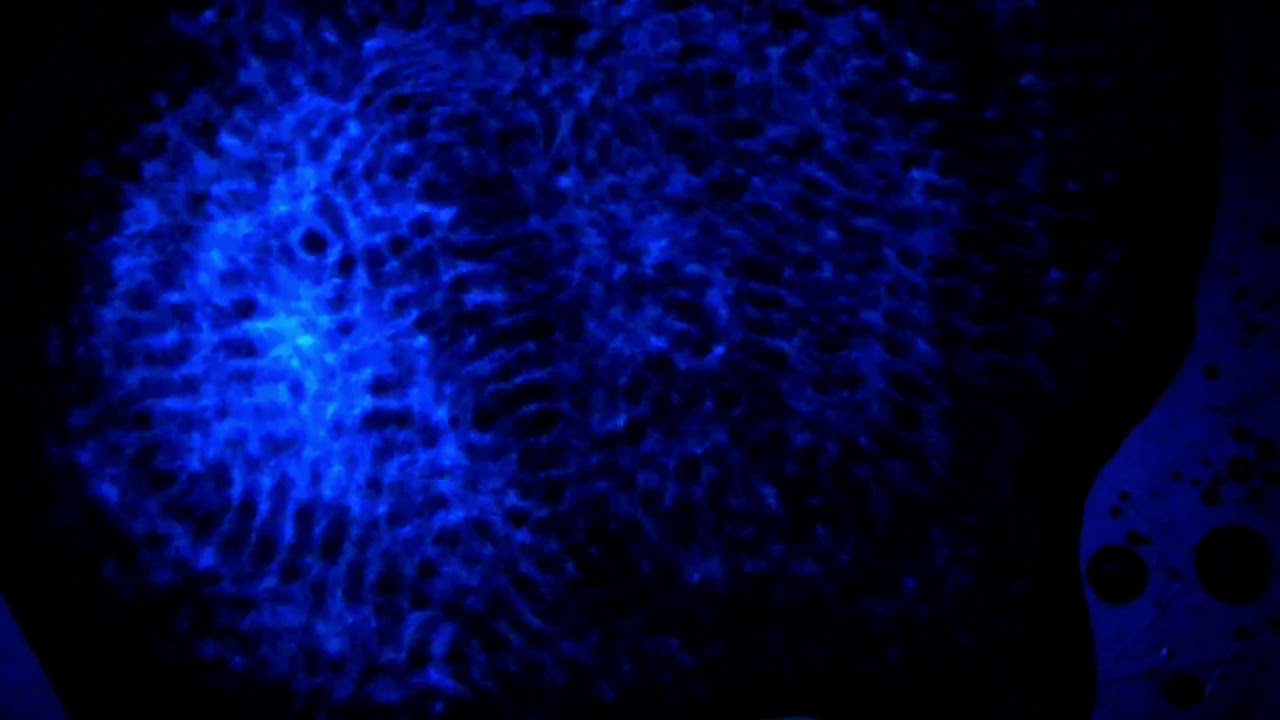 CIMÁTICA | CYMATICS - Pink Floyd - YouTube