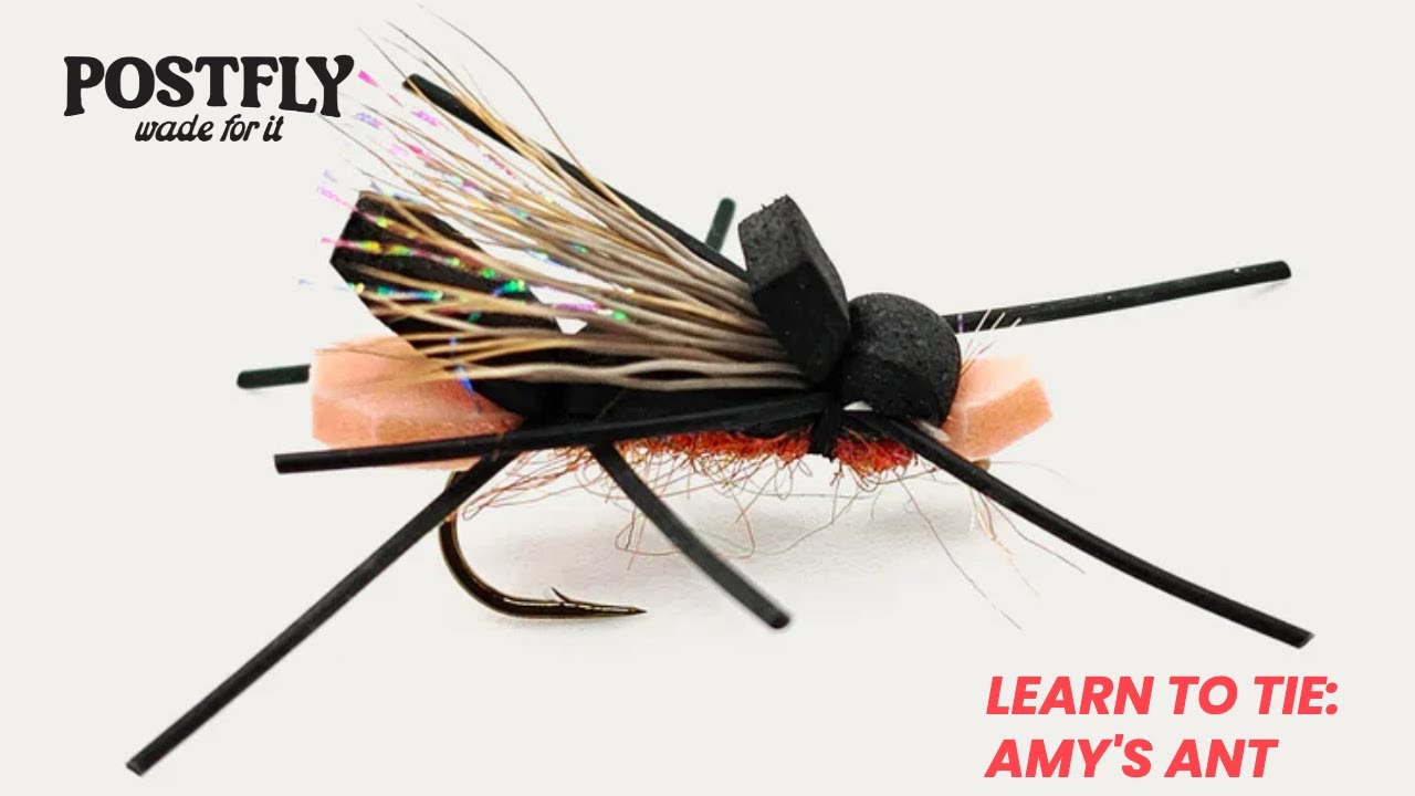 Learn to tie this summertime trout classic: Amy's Ant - YouTube
